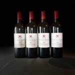 The vertical at Château Cruzeau - Who Would Love This Experience?