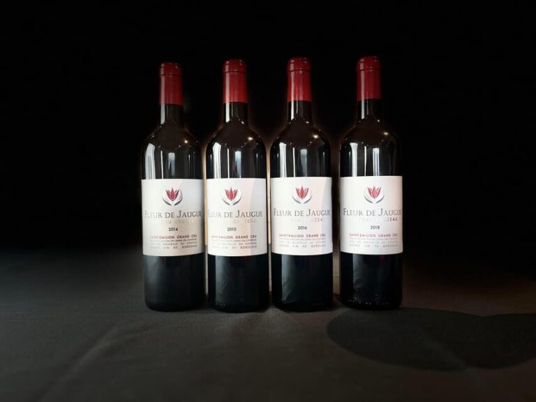 The vertical at Château Cruzeau - Who Would Love This Experience?
