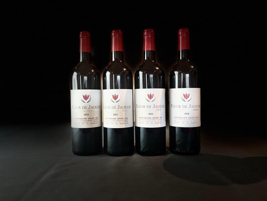 The vertical at Château Cruzeau - Who Would Love This Experience?