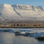 The Viking Horse Riding Experience in North Iceland - The Practical Side: Booking, Pricing, and Conditions