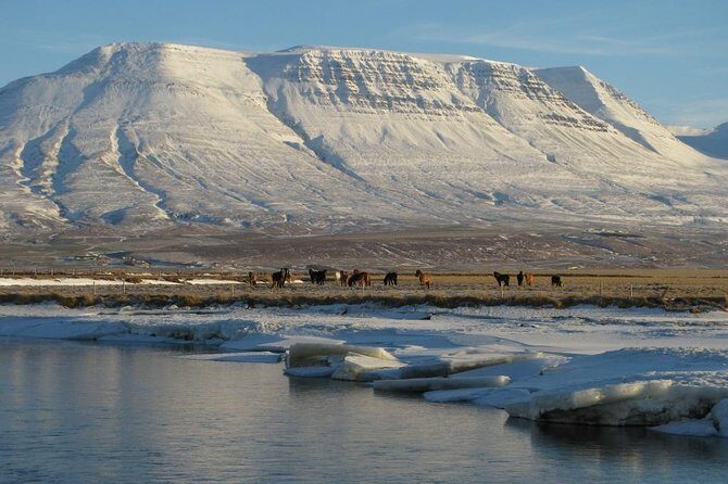 The Viking Horse Riding Experience in North Iceland - The Practical Side: Booking, Pricing, and Conditions