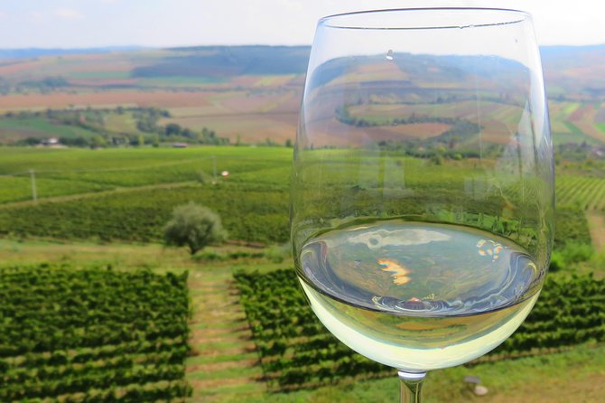 The wine route by bike - Key Points