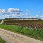The WINEdering Bike: Private Bike Tour & Wine Tasting - The Practical Side: Scheduling, Pricing, and Group Size
