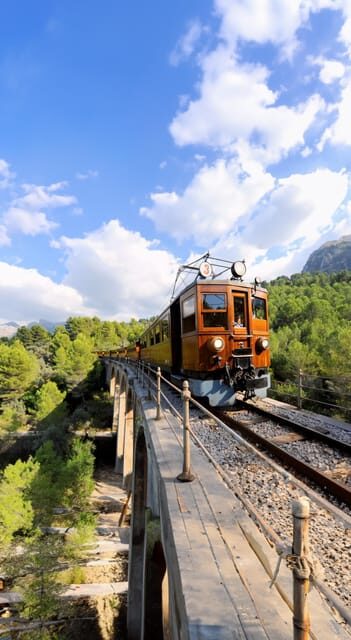 The Wonders of Soller Village at Tramuntana Half Day Tour - Key Points