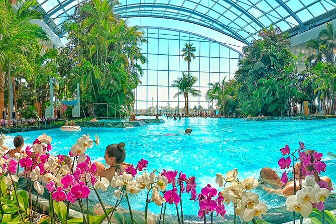 Therme Bucharest Tickets and Water Theme Park - Who Will Love Therme Bucharest?