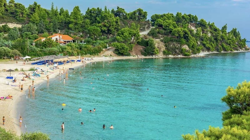 Thessaloniki: Halkidiki/Sithonia Swim, Sunset & Olive Tour - Why It’s a Great Value
