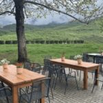 Thessaloniki: Naousa Wine Region Private Day Tour - What’s Included and What to Expect