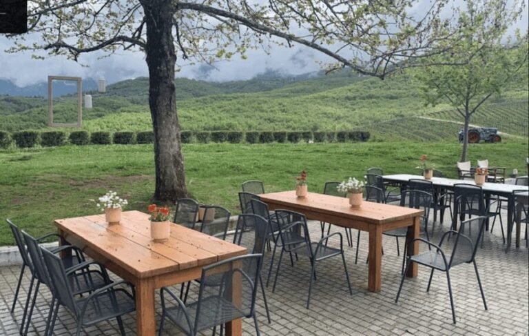 Thessaloniki: Naousa Wine Region Private Day Tour - What’s Included and What to Expect
