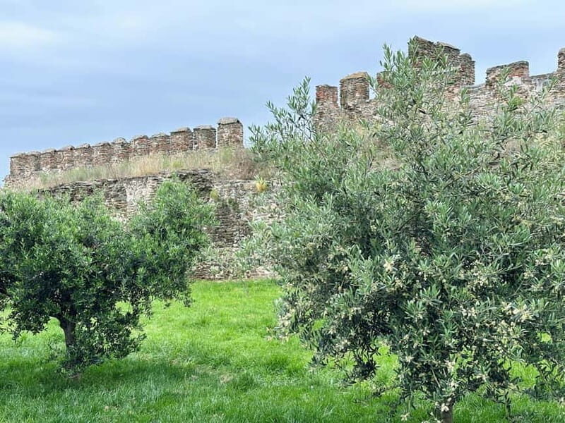 Thessaloniki Old Town Walking Tour-Culture-Nature-Plants - Why this Tour Offers Great Value