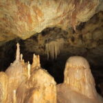 Thessaloniki: Petralona Cave & Nea Potidea Day Trip - Visiting the Archaeological Museum