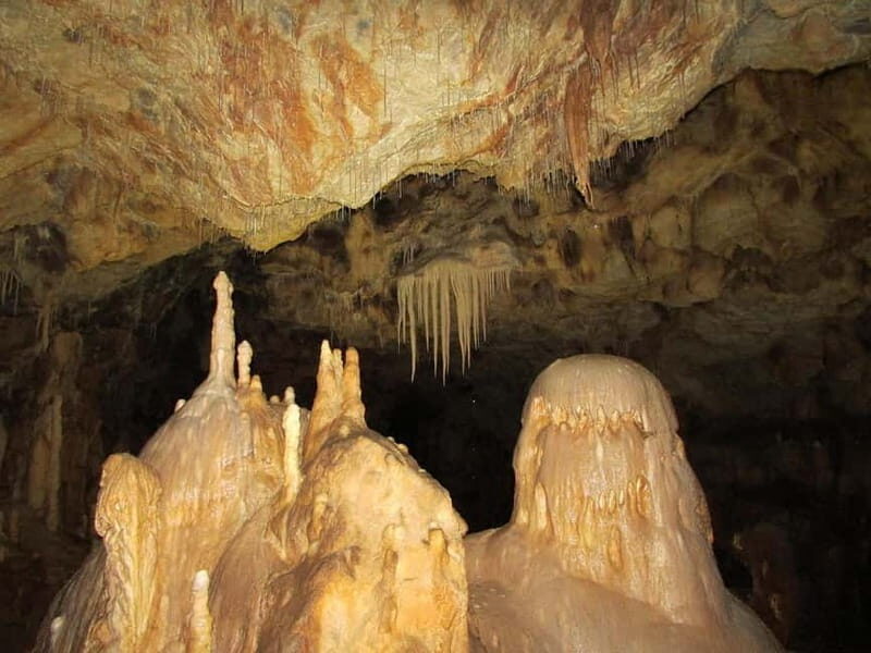 Thessaloniki: Petralona Cave & Nea Potidea Day Trip - Visiting the Archaeological Museum