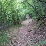Thessaloniki to Naoussa, Wine Tasting Tour  Private Day Trip - Why This Tour Is a Solid Choice