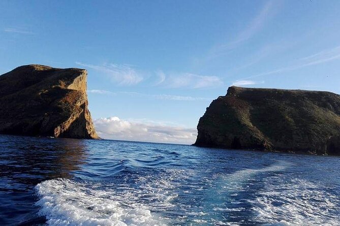 Third Island: Ilhéu das Cabras Boat Tour + Snorkeling - Introduction