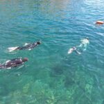 Third Island:Ileus of the Goats -Boat Trip - Practical Details You Need to Know