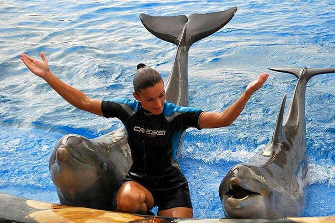 Ticket to Aqualand Tenerife - What Makes Aqualand Tenerife Stand Out?