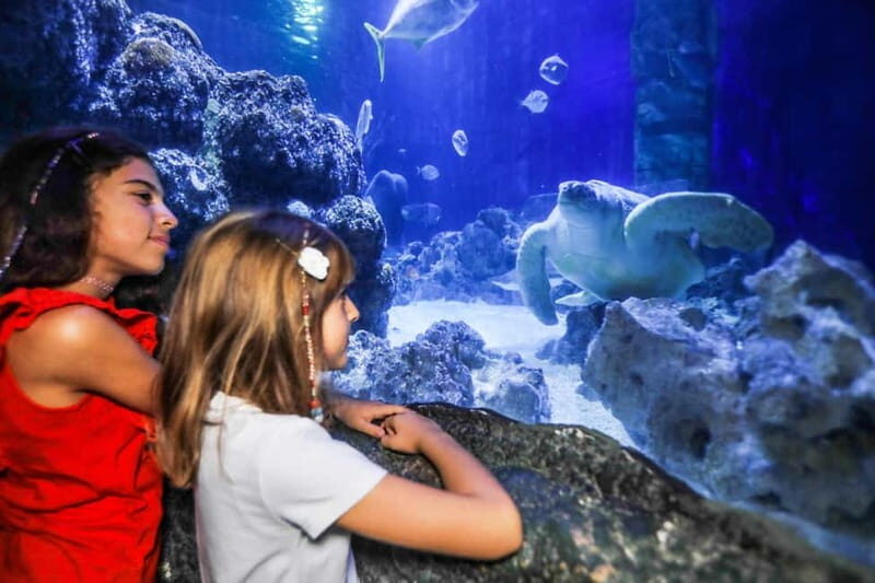Ticket to SEA LIFE Konstanz - Analyzing the Cost and Overall Value