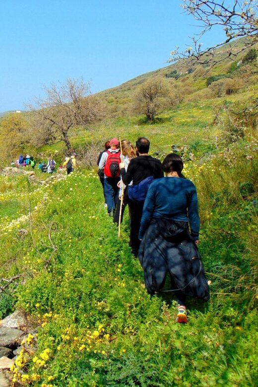 Tinos: Tarampados to Komi Guided Hiking Tour - An In-Depth Look at the Tour Experience