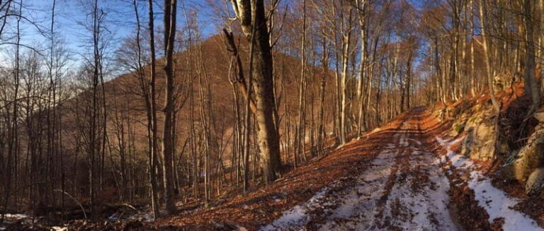 Tirana: Dajti Mountain Half-Day Trip with Cable Car Ticket - A Closer Look at the Itinerary