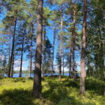 Tiveden: The Legend of Junker Jägare Guided Hike - The Itinerary: What to Expect
