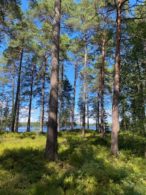 Tiveden: The Legend of Junker Jägare Guided Hike - The Itinerary: What to Expect
