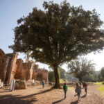 Tivoli: Entrance Ticket to Villa Adriana & App Audioguide - The Highlights in Detail