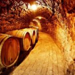 Tokaj: Classic Wine Tasting - An In-Depth Look at the Tour