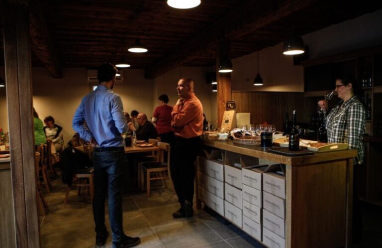 Tokaj: Vineyard Tour & Tasting - The Breakdown of the Itinerary