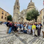 Toledo al Completo con Patio-Casa Palacio - Who Should Take This Tour?