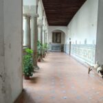 Toledo: Convent Route with Marzipan and Wine Tasting - Who Will Love This Tour?