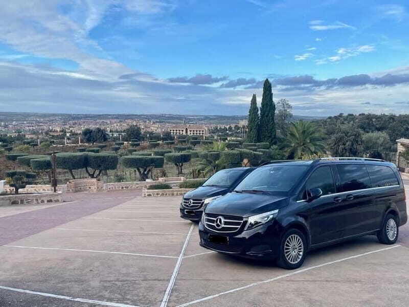Toledo: Private Minivan tour from Madrid - Analyzing the Value of This Experience