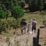 Tomar: Wine Tasting with Vinotherapy - Real Traveler Insights