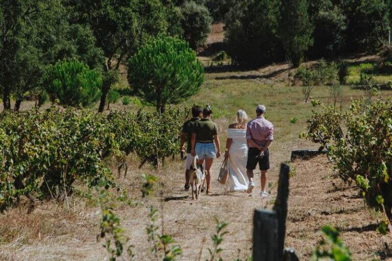 Tomar: Wine Tasting with Vinotherapy - Real Traveler Insights