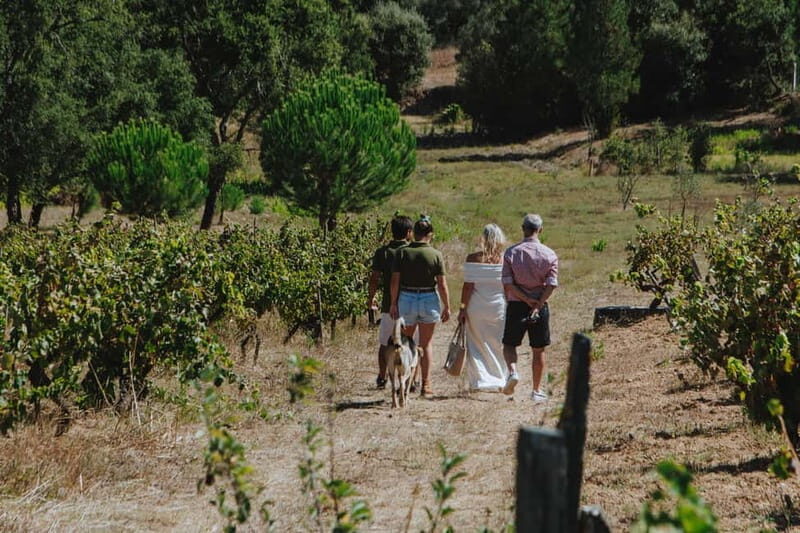 Tomar: Wine Tasting with Vinotherapy - Real Traveler Insights