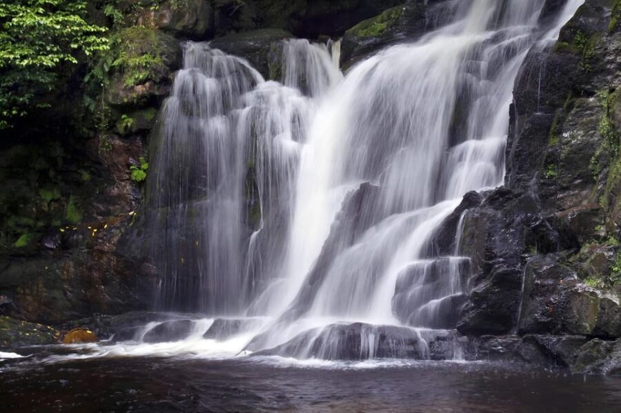 Torc waterfall & mountain hike. Kerry. Private guided. - Analyzing the Value