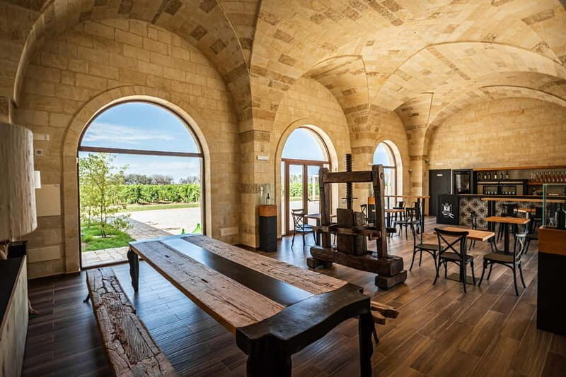 TORLEANZI: wine tour and tasting at winery in Torre San Gennaro - The Tasting Experience