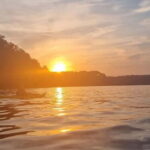 Torquay: The Setting Sun & Wild Food Experience - A Closer Look at the Itinerary
