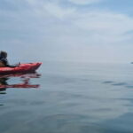 Torquay: Wildlife, Bushcraft and Sea Cave Kayak Safari - Practical Details: What to Know Before You Go