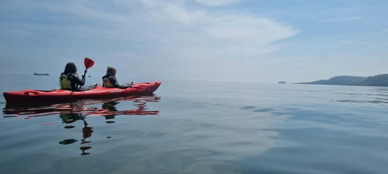 Torquay: Wildlife, Bushcraft and Sea Cave Kayak Safari - Practical Details: What to Know Before You Go