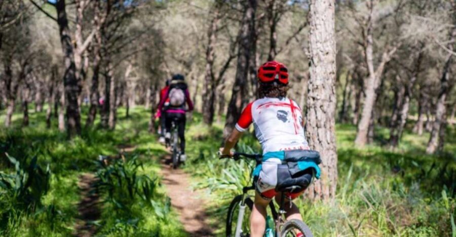Torregrande marina bike tour - Who Will Love This Tour?