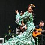 Torremolinos: Flamenco Show with Dinner and Drinks - A Deep Dive into the Flamenco Experience