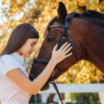 Torremolinos: Guided tour to stables of El Ranchito - A Closer Look at the Experience