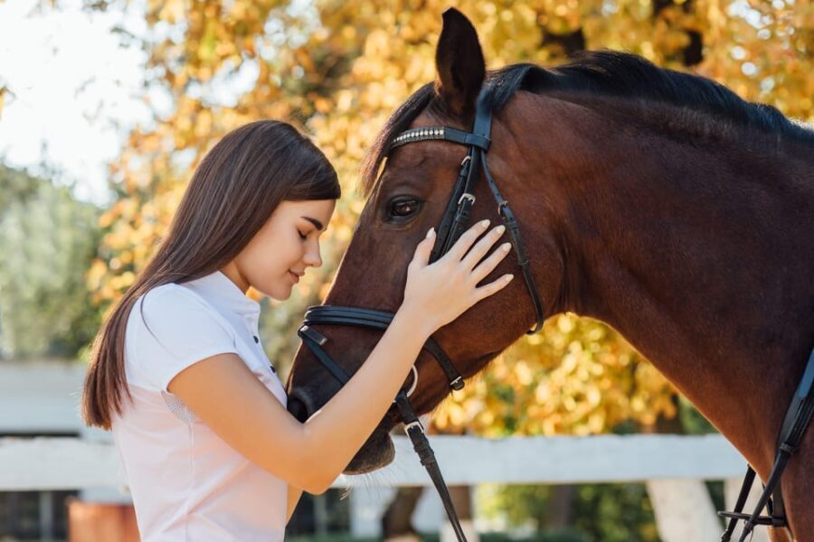 Torremolinos: Guided tour to stables of El Ranchito - A Closer Look at the Experience