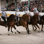 Torremolinos: Spanish horse show and flamenco with dinner option - The Horse Show: Classical Dressage and Cultural Mastery