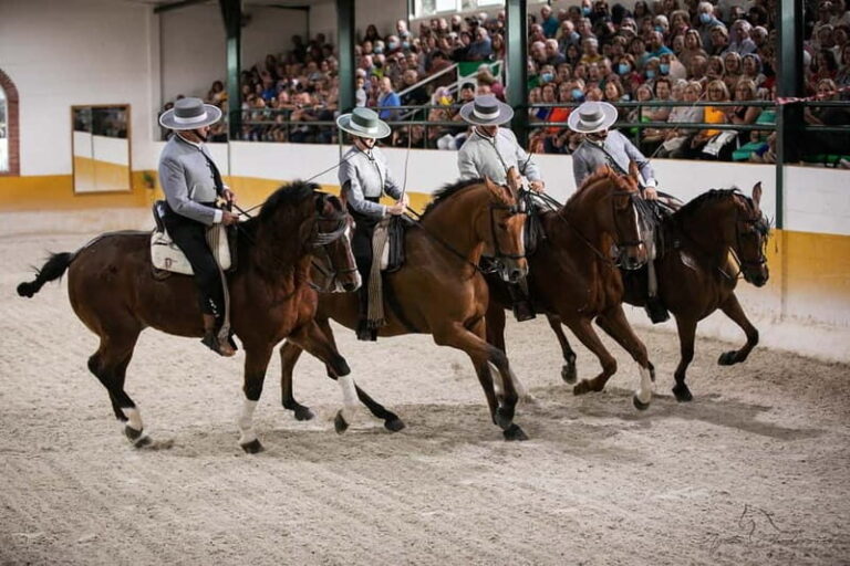 Torremolinos: Spanish horse show and flamenco with dinner option - The Horse Show: Classical Dressage and Cultural Mastery