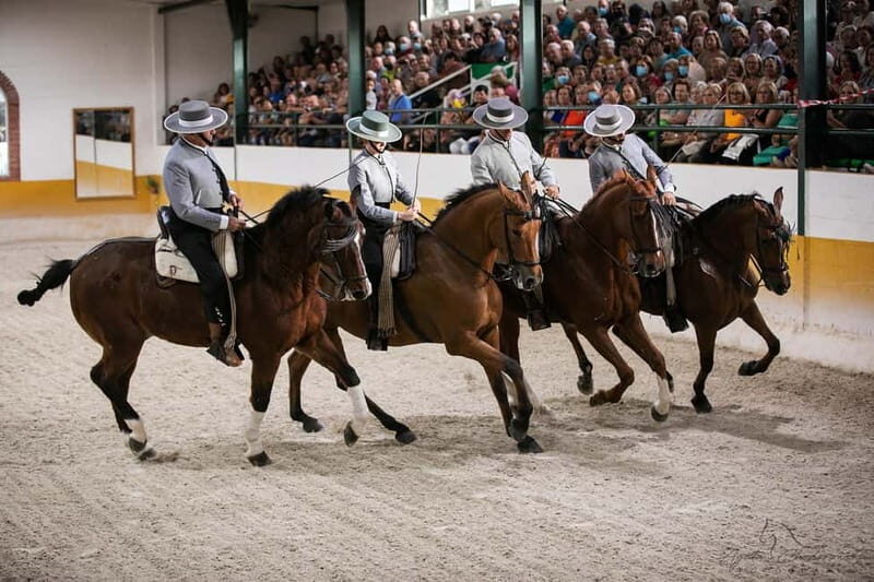 Torremolinos: Spanish horse show and flamenco with dinner option - The Horse Show: Classical Dressage and Cultural Mastery