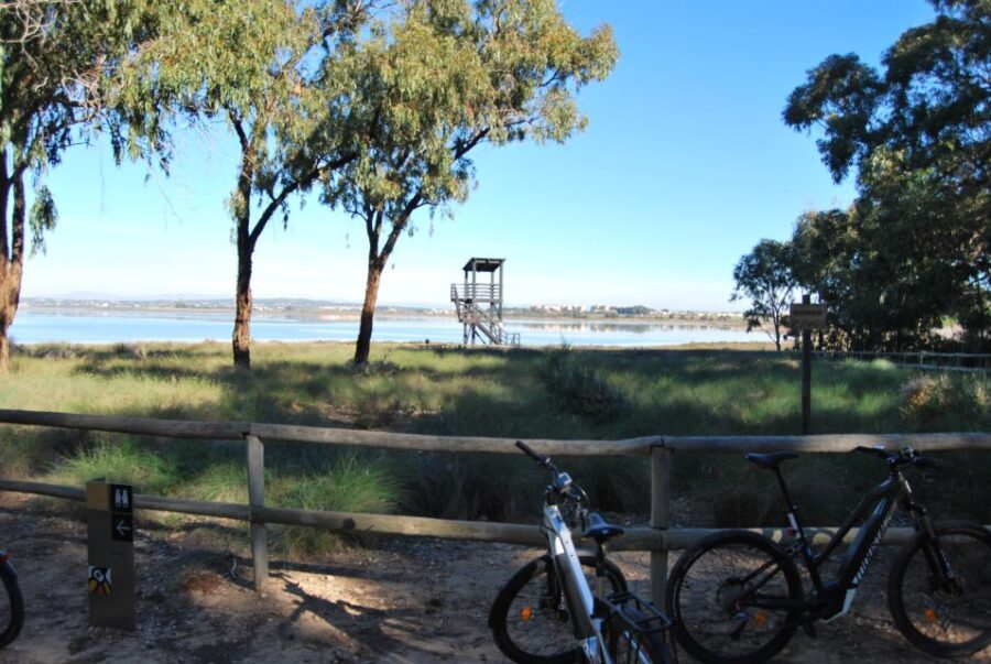 Torrevieja: Natural Parks e-Bike Tour - The Experience in Depth