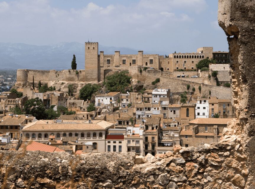 Tortosa: Guided Walking Tour with Cathedral Visit - Who Will Love This Tour?