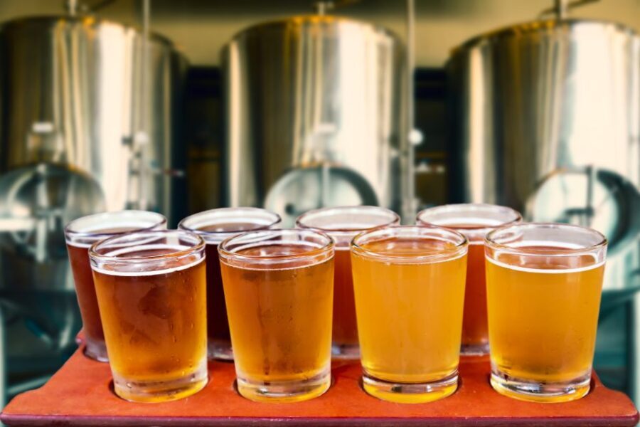 Torun Private Polish Beer Tasting Tour - Why You’ll Love This Tour