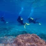 Tossa de Mar: Scuba Diving Experience for Beginners - The Value of the Experience