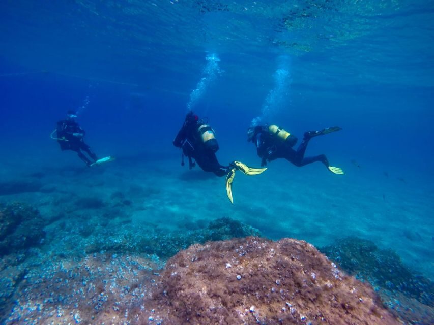 Tossa de Mar: Scuba Diving Experience for Beginners - The Value of the Experience